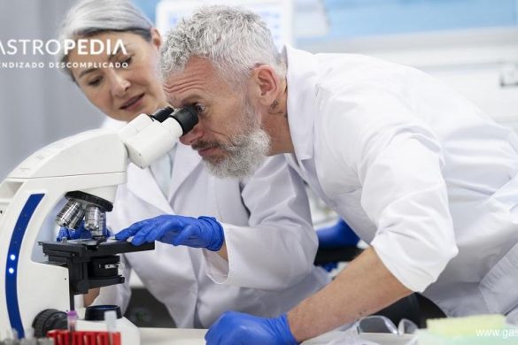 ¿Qué es la rectosigmoidoscopia? - Gastroblog