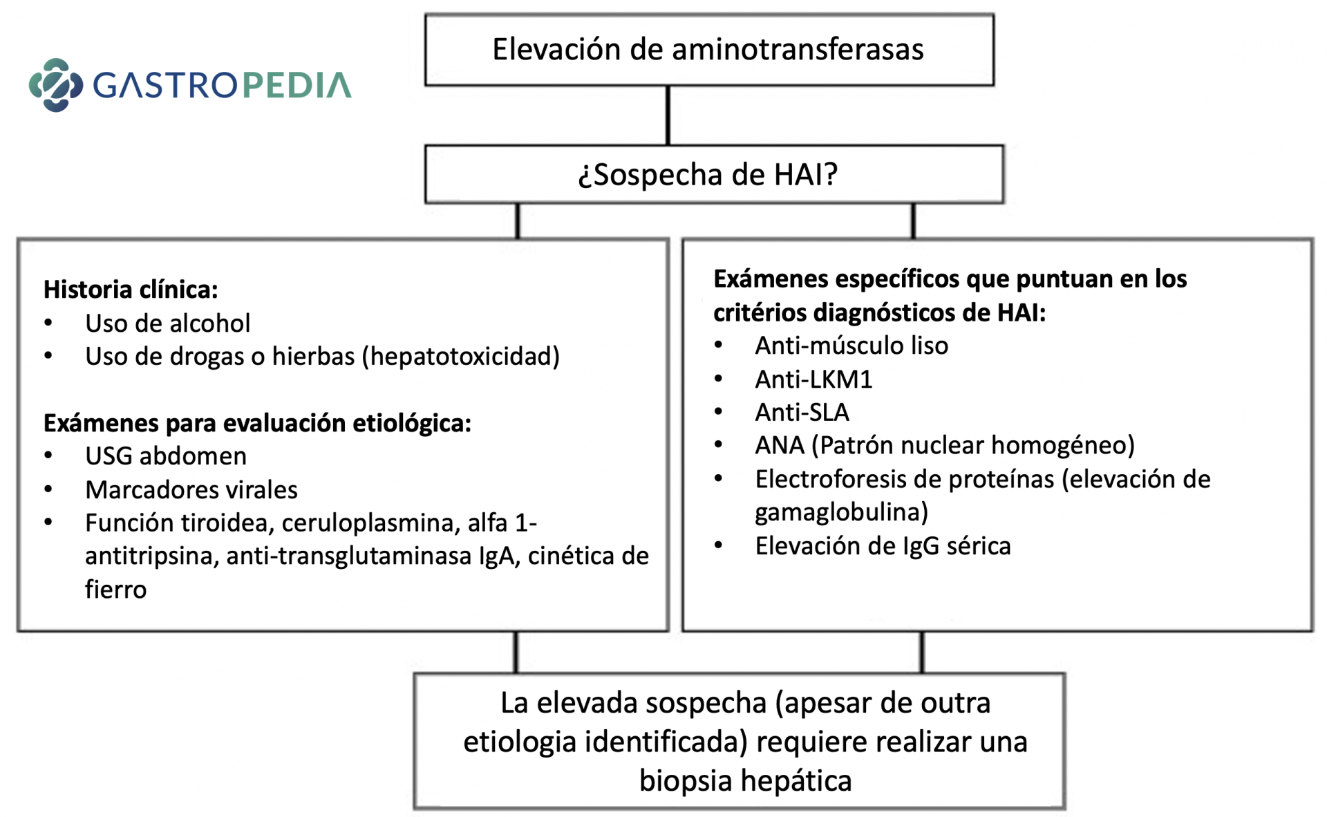 ¿Cuándo sospechar de Hepatitis autoinmune? - Gastropedia